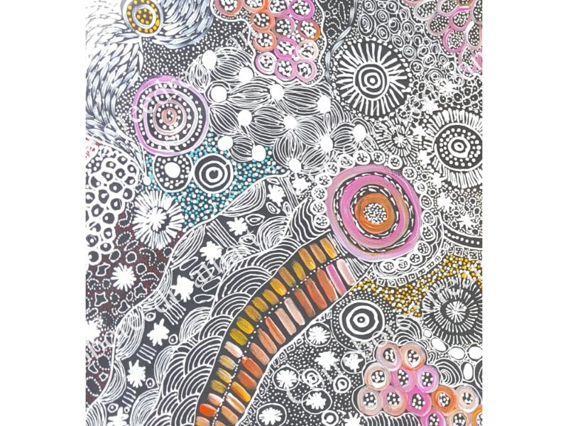 Bush Yam Woman Ceremony – Corroboree Dream Art